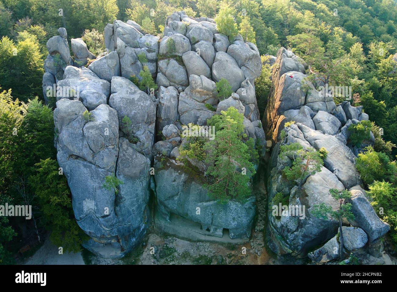 Aerial view of bright landscape with green forest trees and big rocky ...