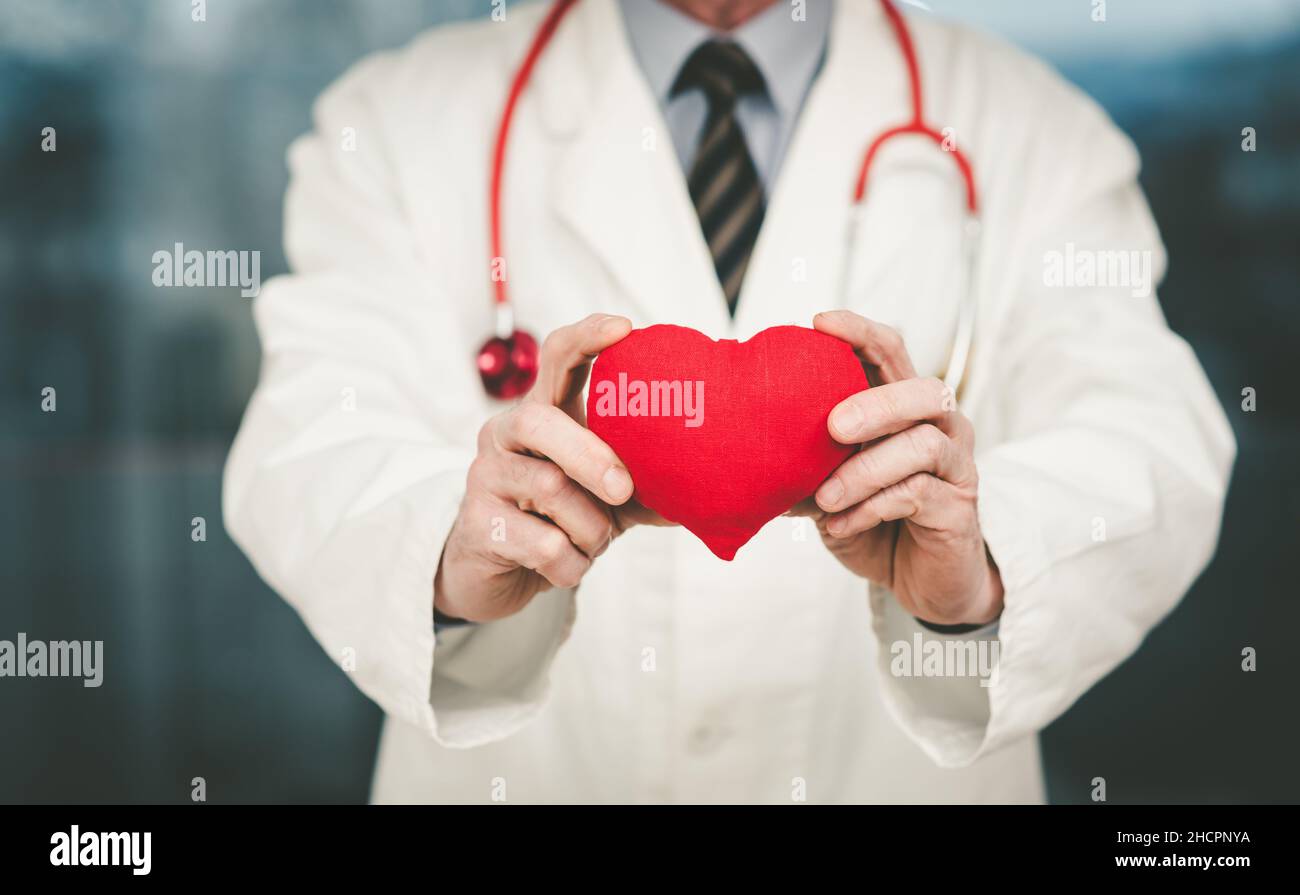Doctor showing red heart; cardiology concept Stock Photo - Alamy