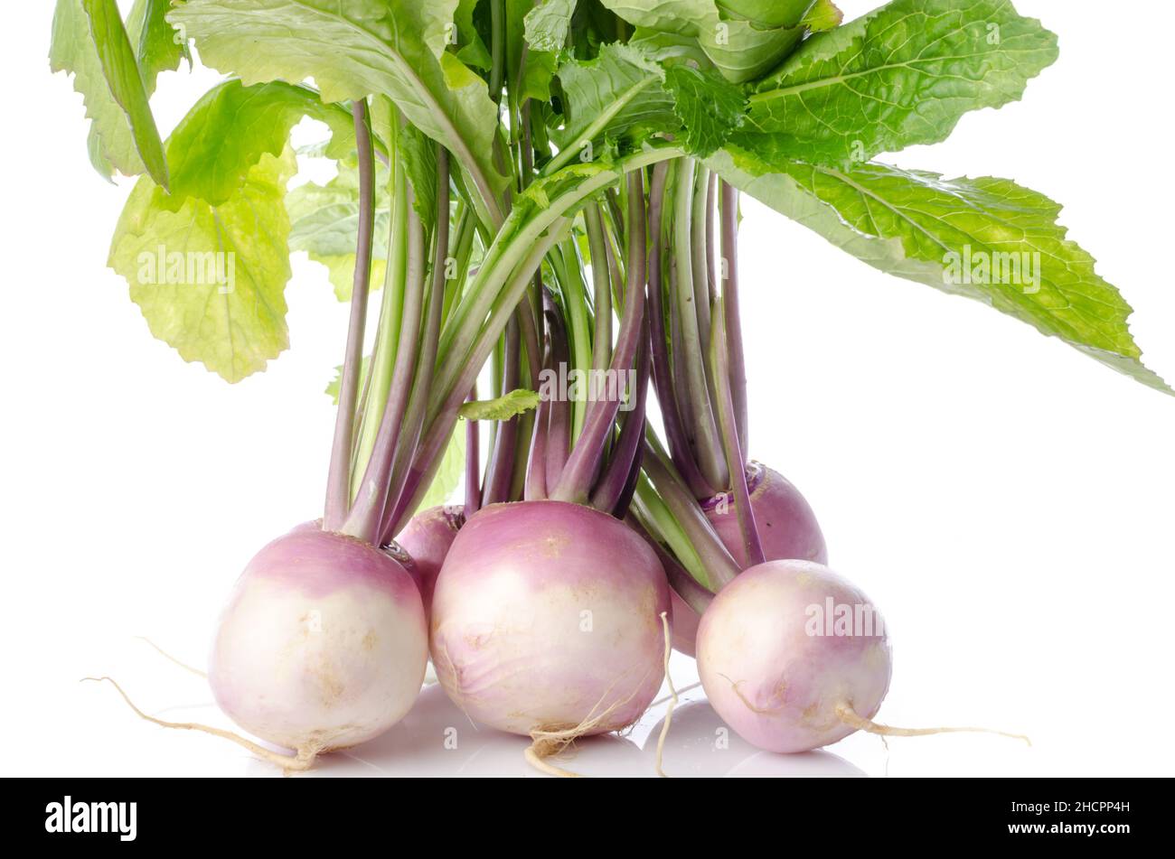 Bunch of fresh turnips, isolated on white Stock Photo - Alamy