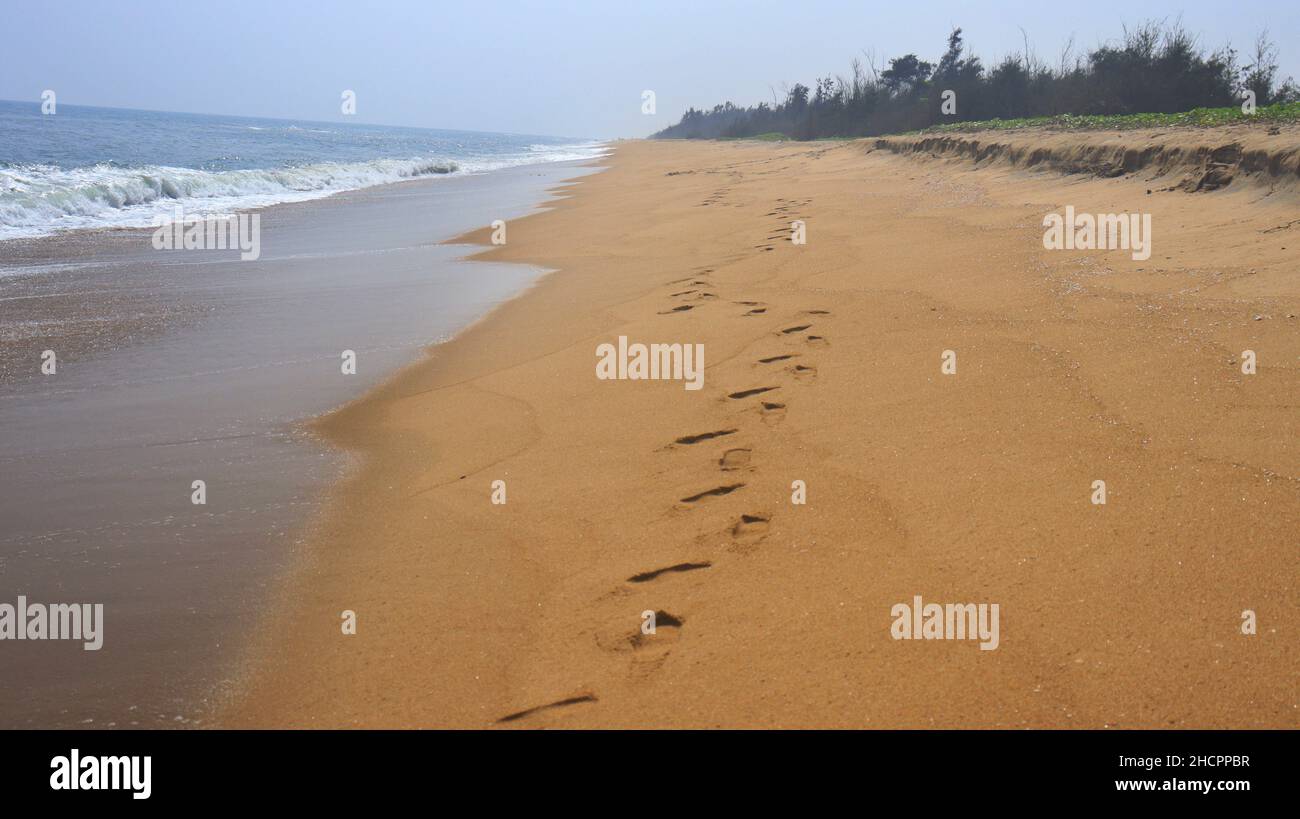 beach sand and foot path Stock Photo - Alamy