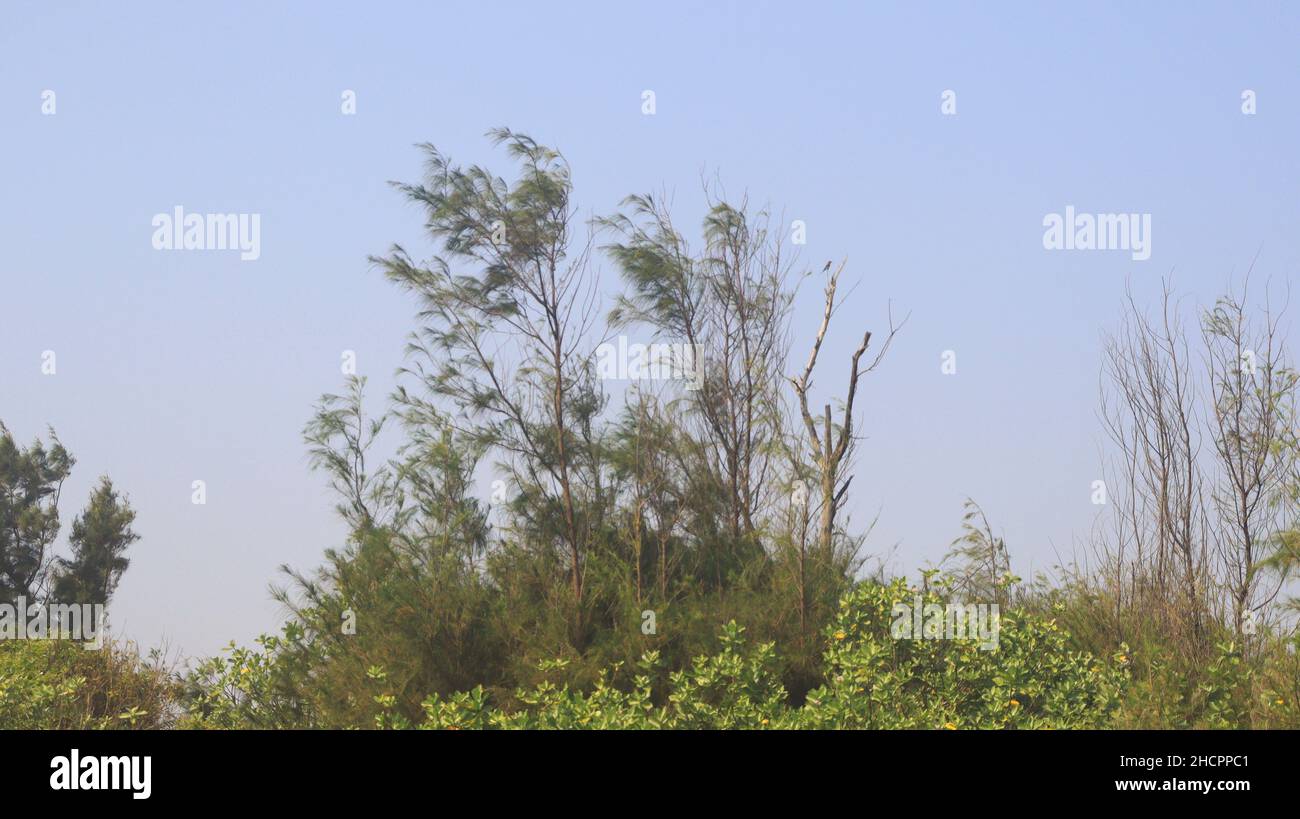 Beautiful sunny morning marine landscape hi-res stock photography and ...