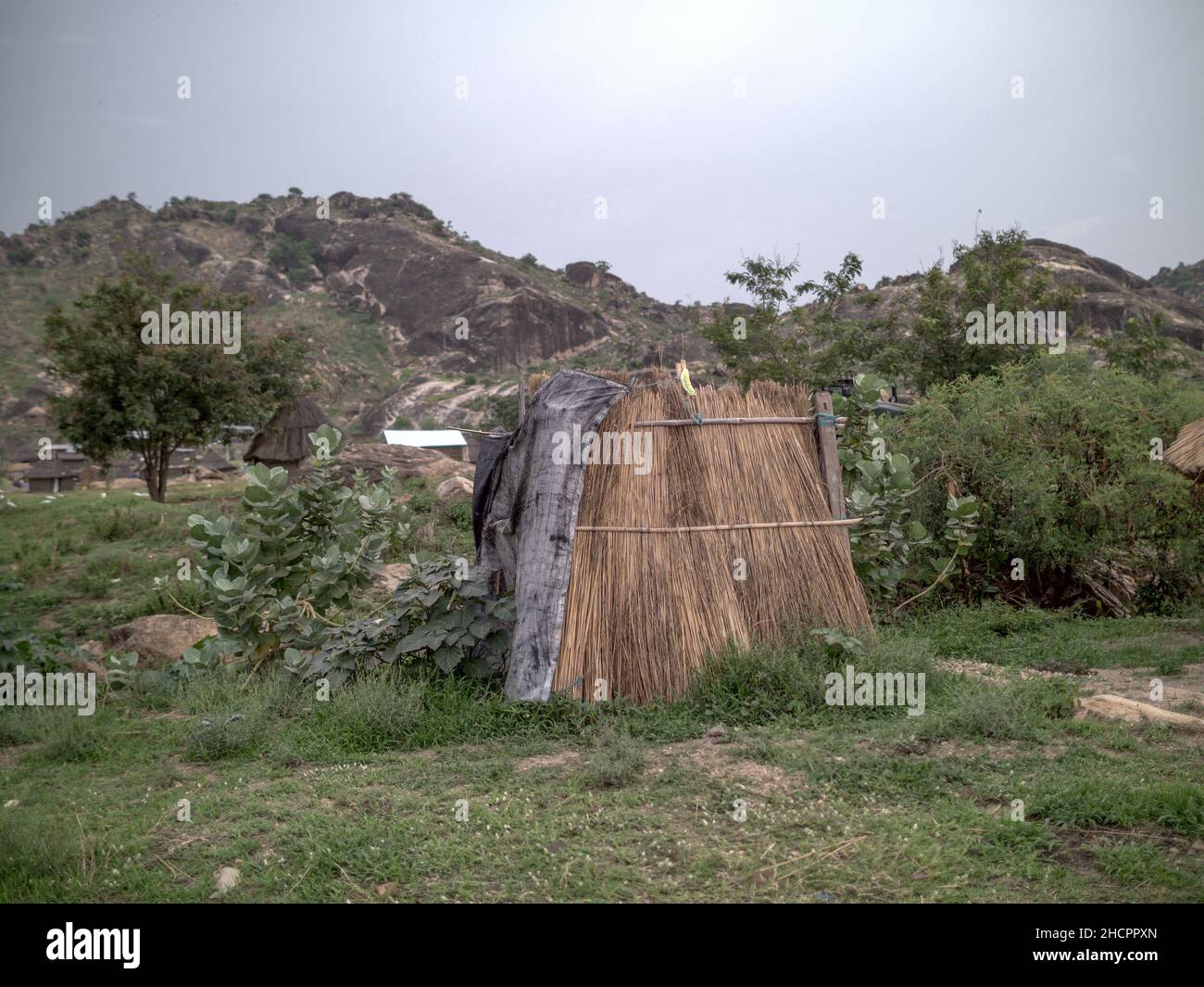 A view of a reed tent in a village Stock Photo - Alamy