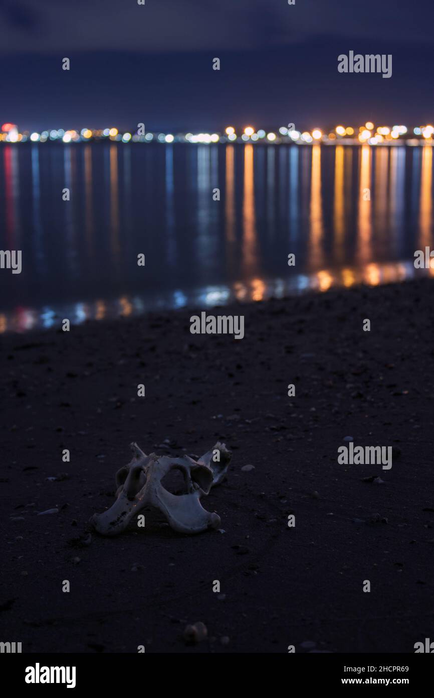 Beautiful night view of the bay of Matanzas, Cuba Stock Photo - Alamy