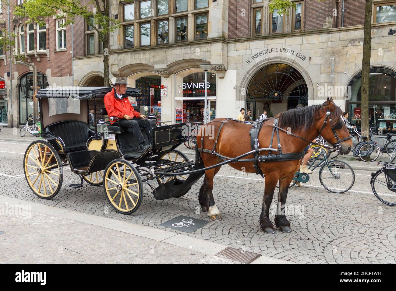 Amsterdam, Netherlands - June 12, 2013: horse drawn carriage stands on ...