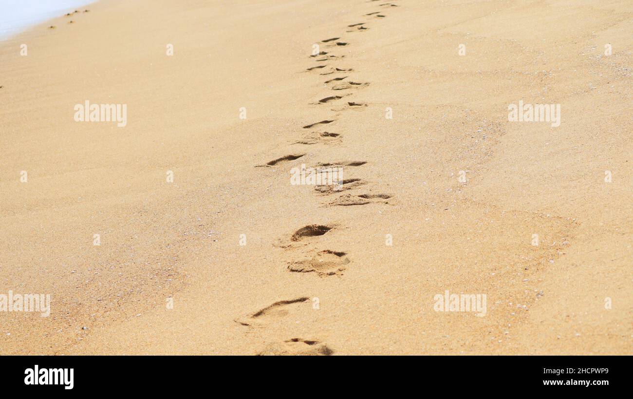beach sand and foot path Stock Photo - Alamy