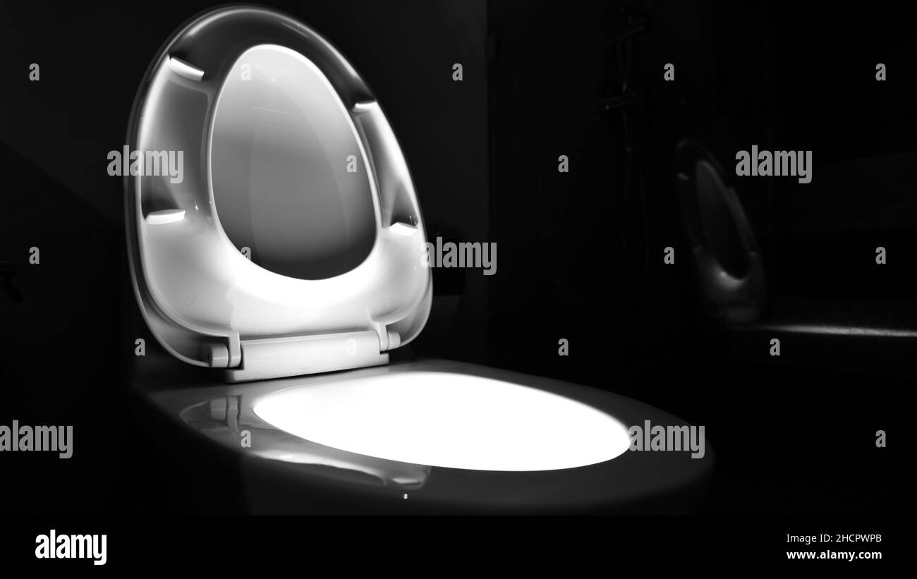 Flush toilet Black and White Stock Photos & Images - Alamy
