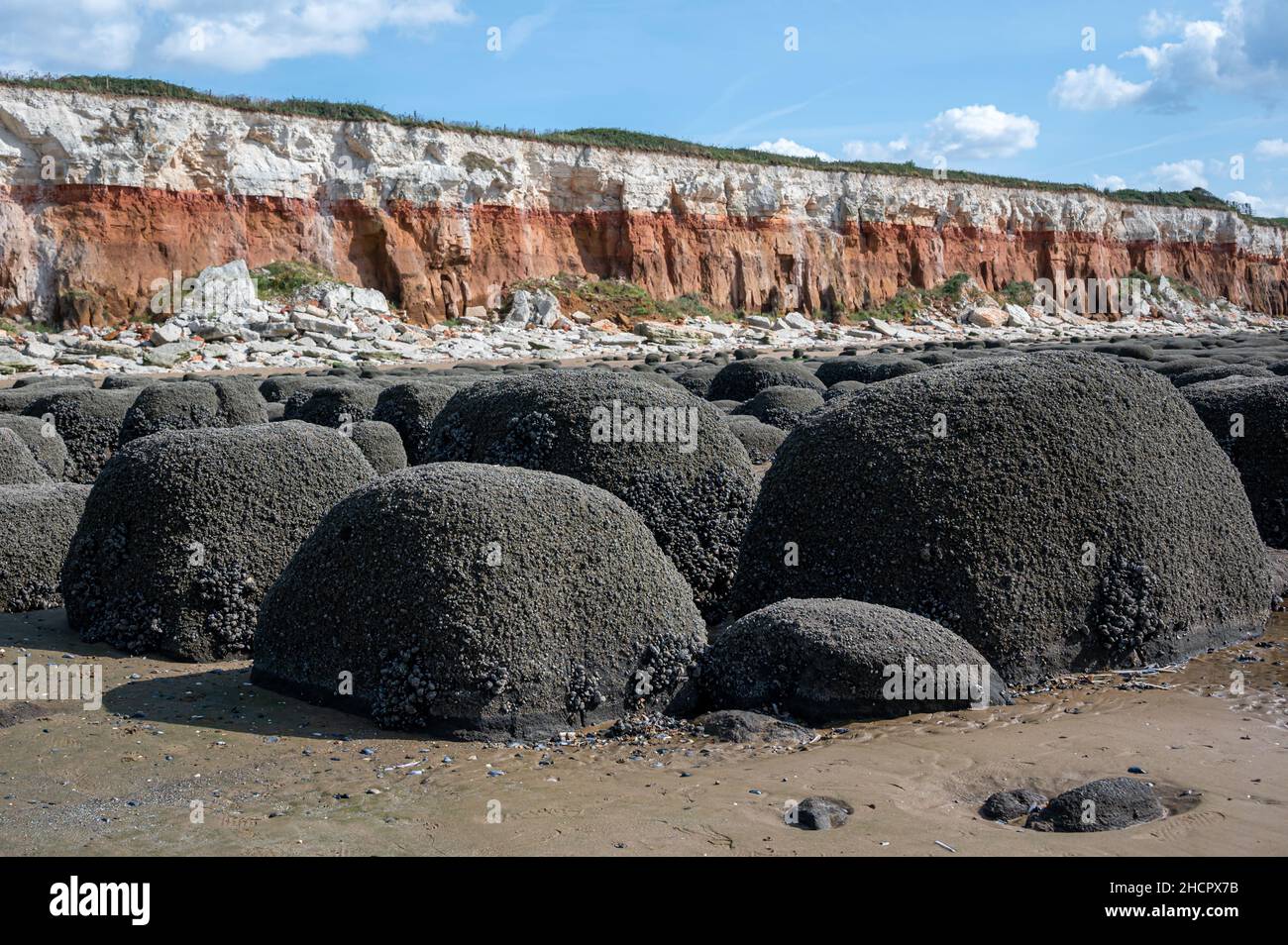 Ammonites in limestone hi-res stock photography and images - Alamy