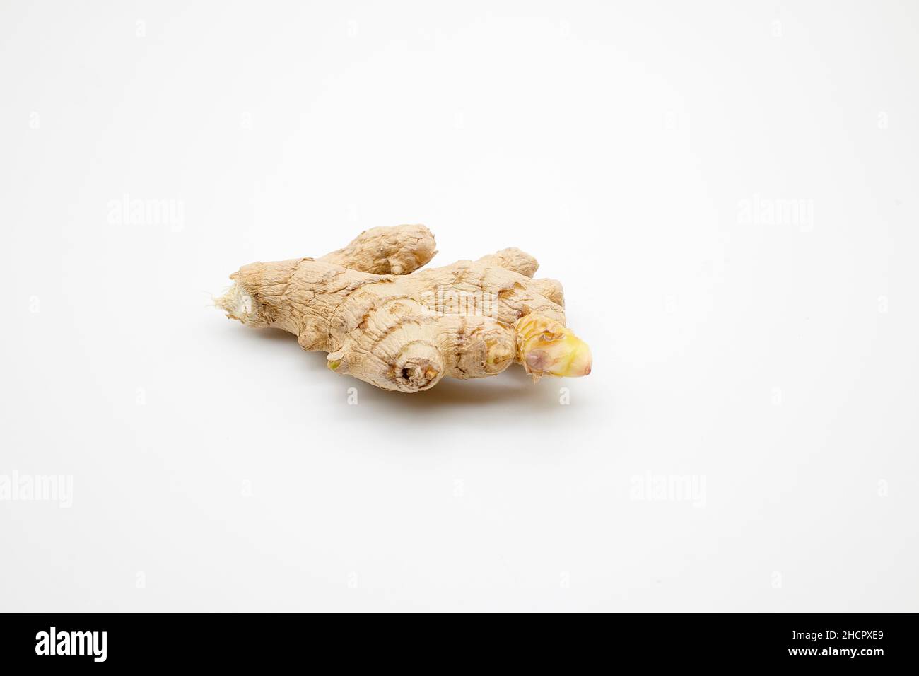 Zingiber officinale flower hi-res stock photography and images - Alamy