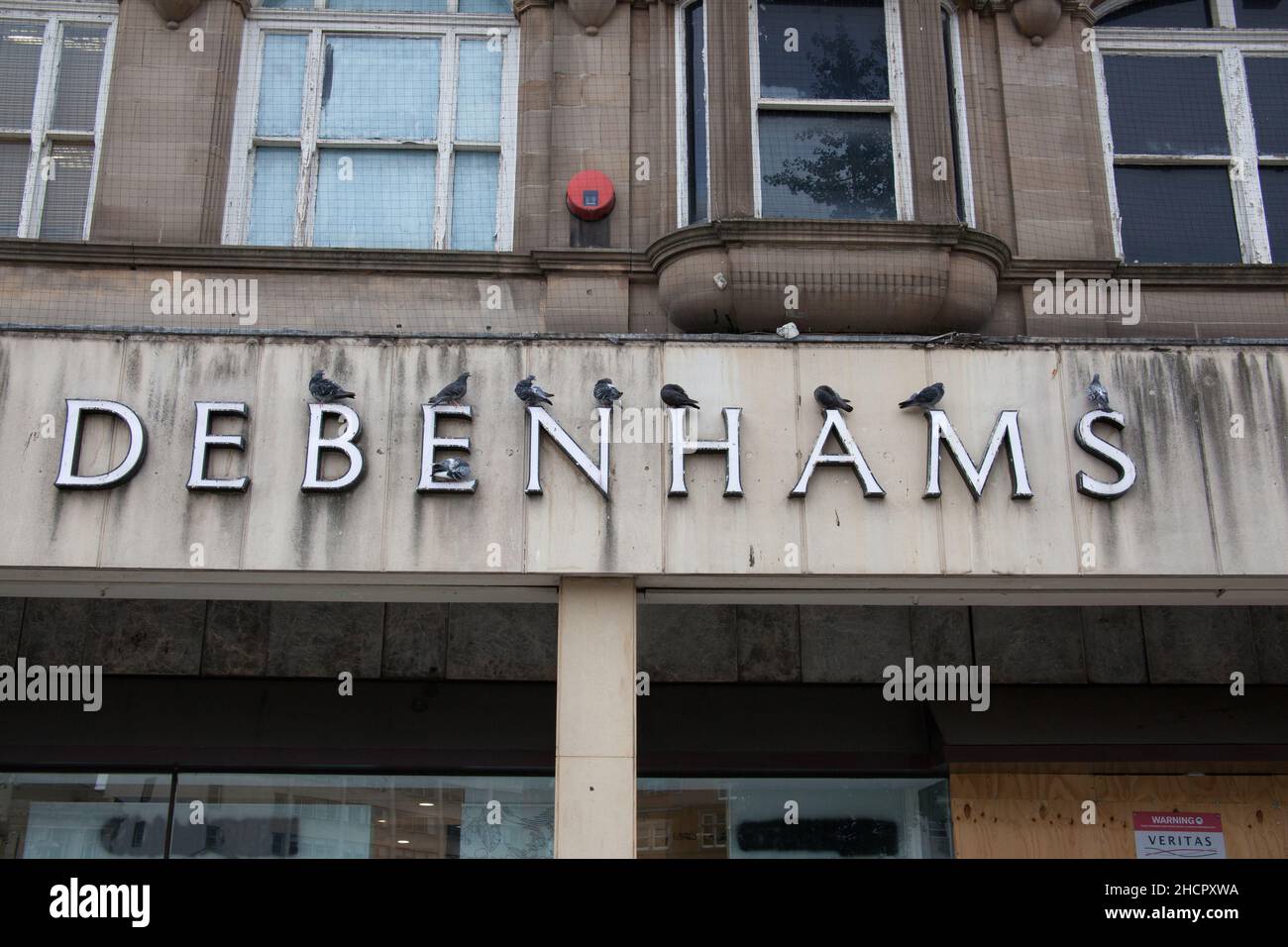 Pigeons on the Debenhams sign in Nottingham in the UK Stock Photo - Alamy