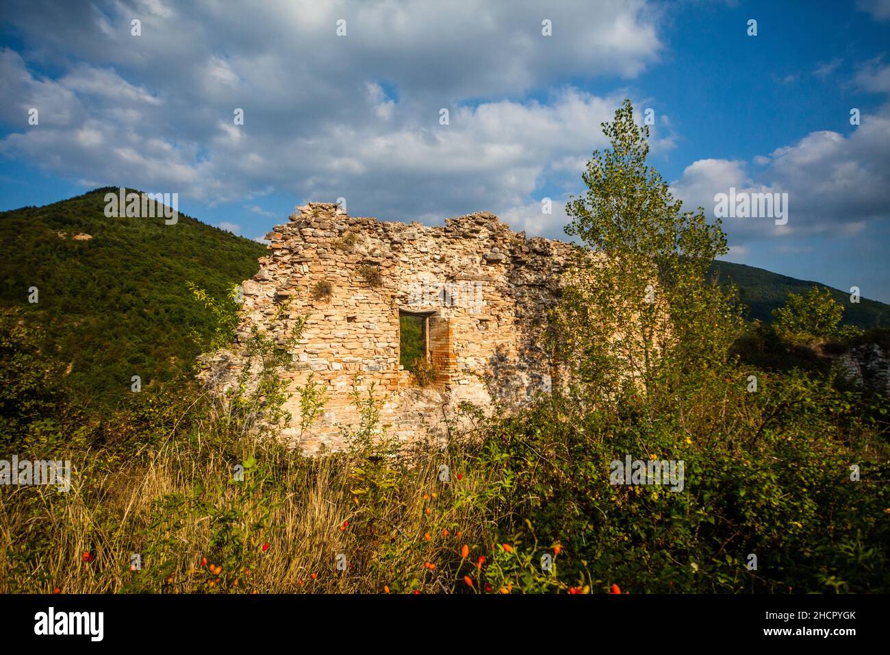 Ruins of the Pecorari castle in Piobbico (PU Stock Photo - Alamy