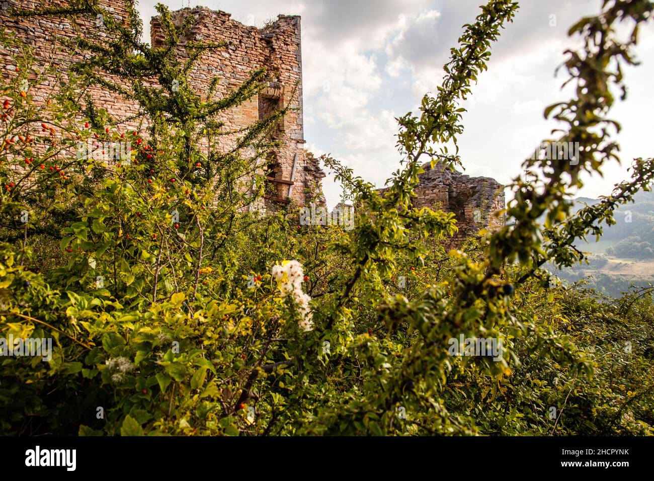 Ruins of the Pecorari castle in Piobbico (PU Stock Photo - Alamy