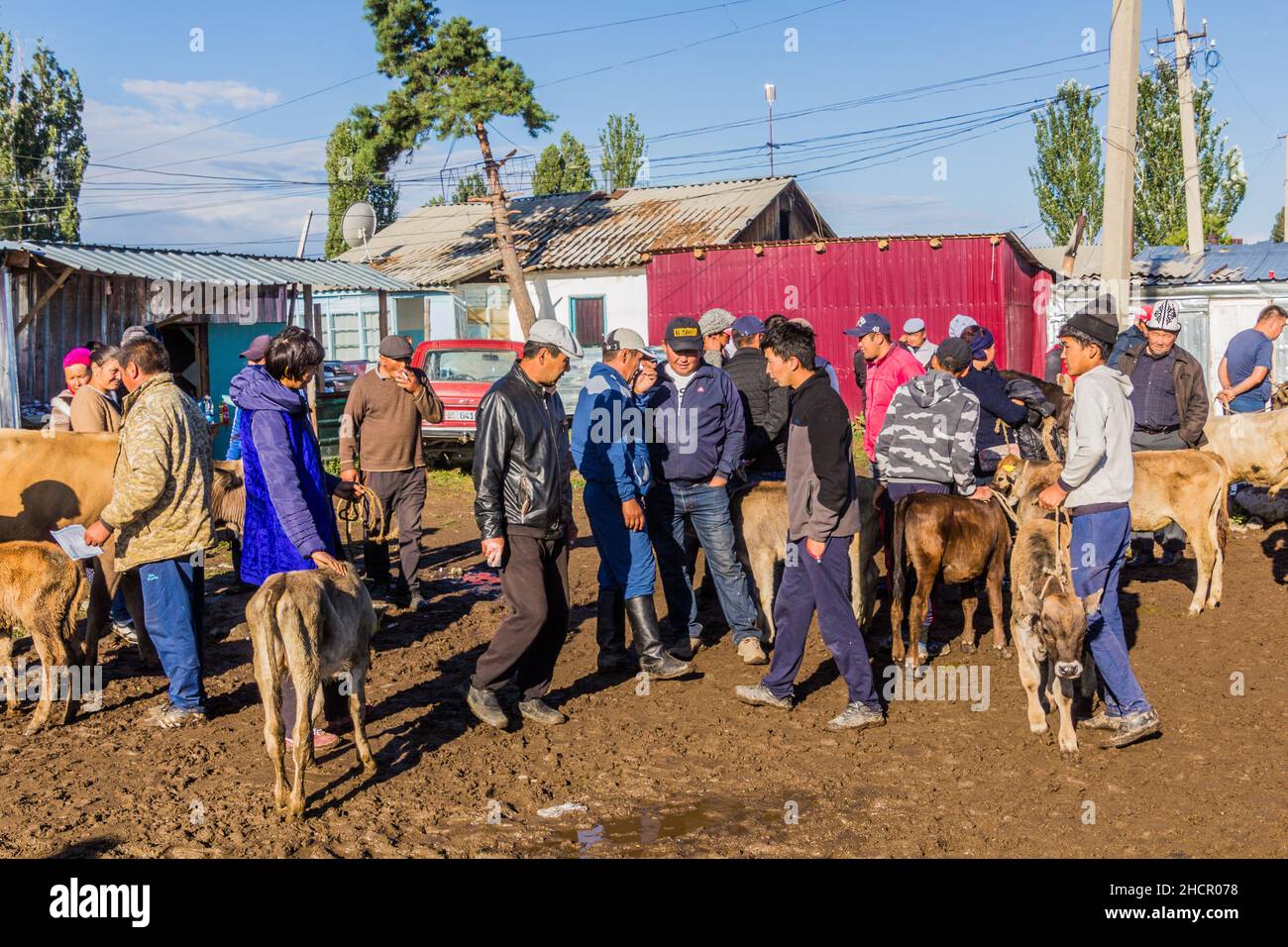 KARAKOL, KYRGYZSTAN - JULY 15, 2018: Local people at the Animal market ...