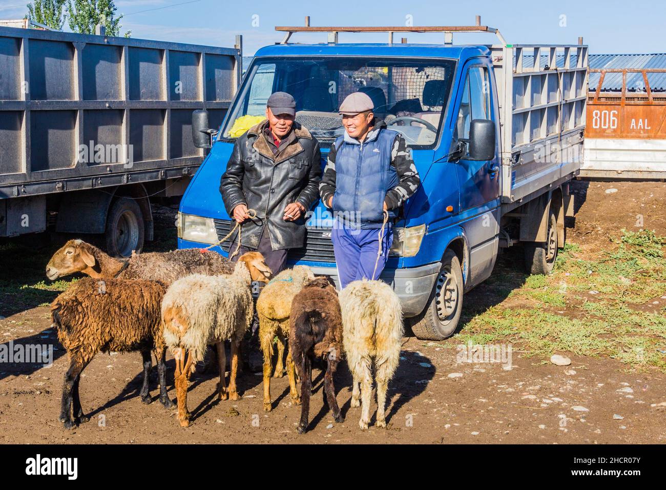 KARAKOL, KYRGYZSTAN - JULY 15, 2018: Local people with their sheep at ...