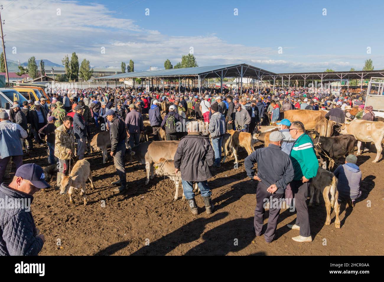 KARAKOL, KYRGYZSTAN - JULY 15, 2018: View of the Animal market in ...