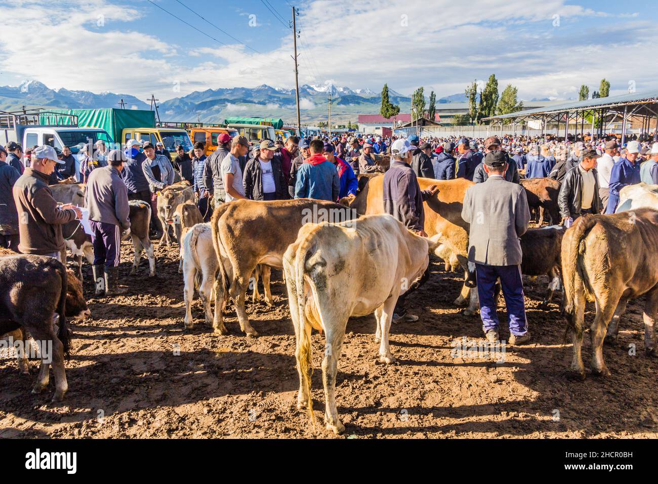 KARAKOL, KYRGYZSTAN - JULY 15, 2018: View of the Animal market in ...