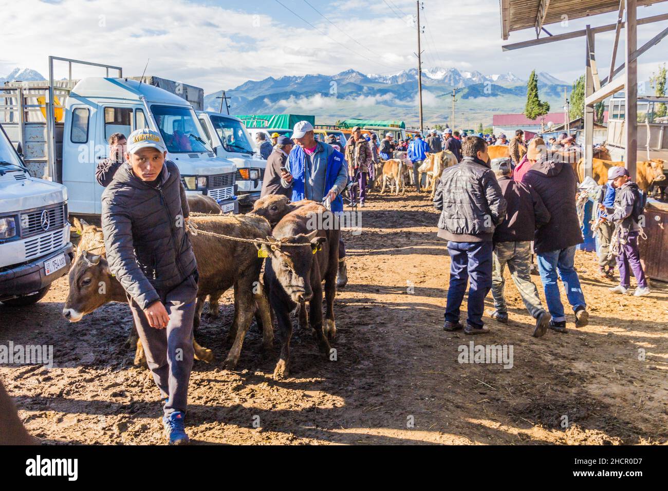 KARAKOL, KYRGYZSTAN - JULY 15, 2018: View of the Animal market in ...