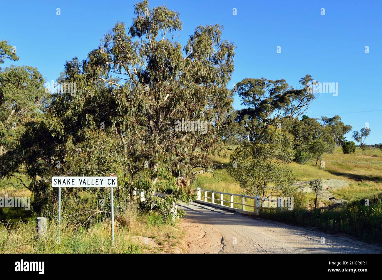 Australian tree snake blue hi-res stock photography and images - Alamy