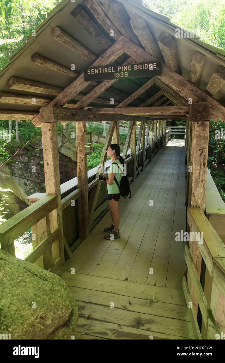 Sentinel pine bridge hi-res stock photography and images - Alamy