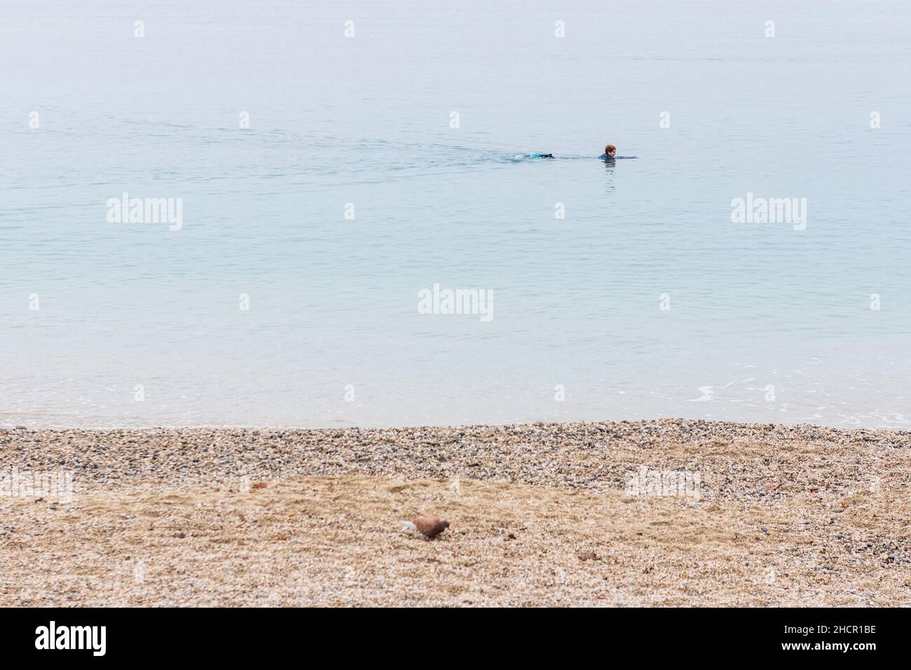 Toulon france mourillon hi-res stock photography and images - Alamy