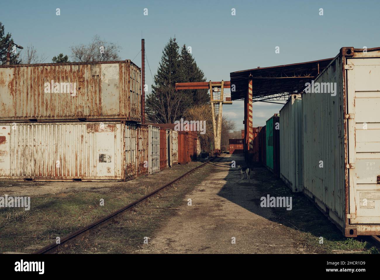 Gantry moving shipping containers hi-res stock photography and images ...