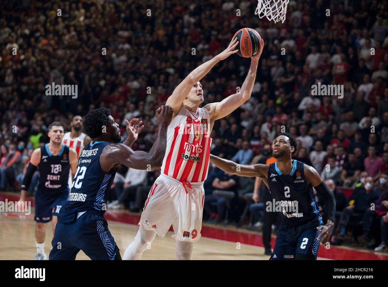 Luka Mitrovic Basketball High Resolution Stock Photography and Images ...