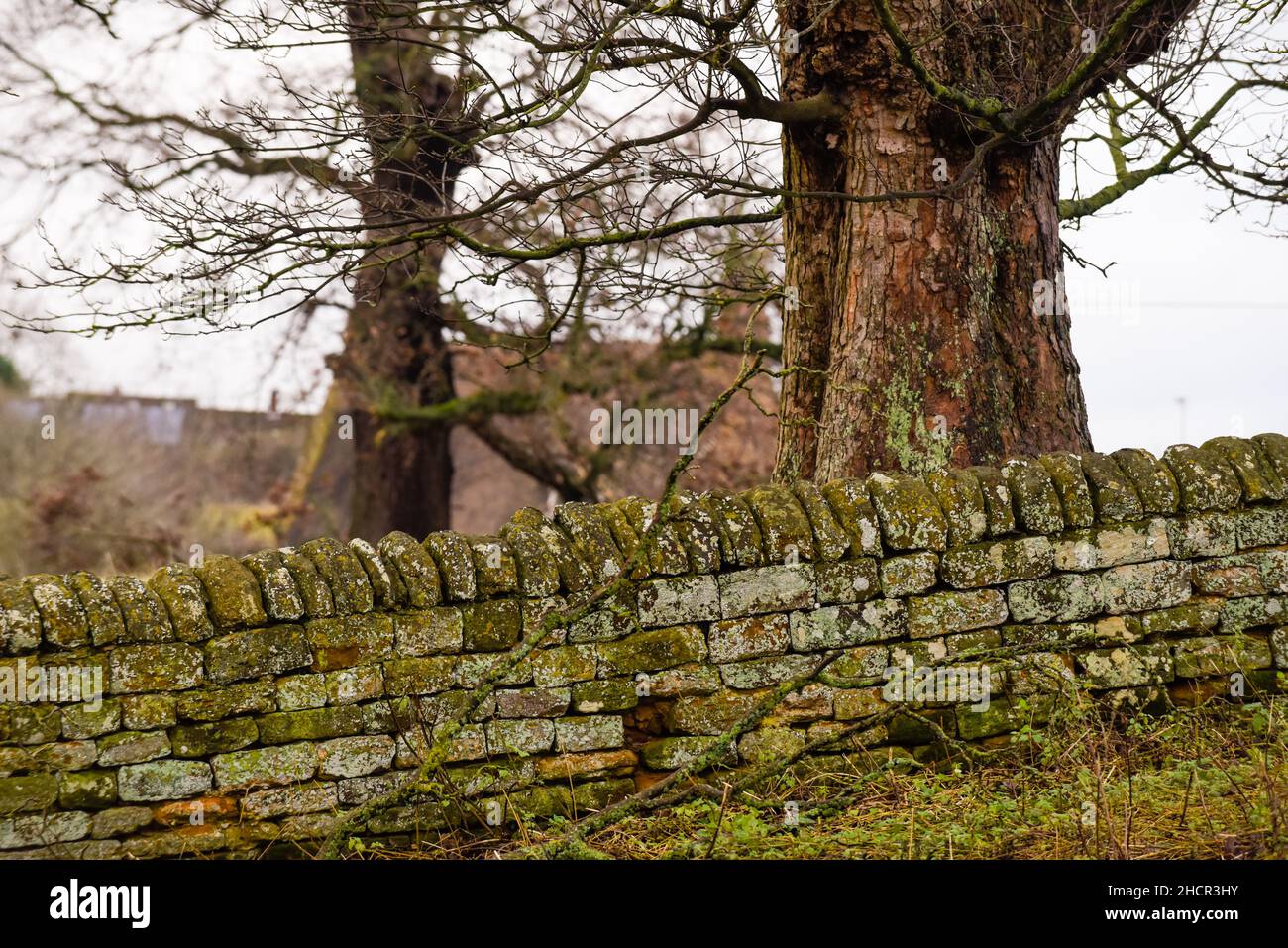 Old fashioned stone wall dividing land and fields Stock Photo - Alamy