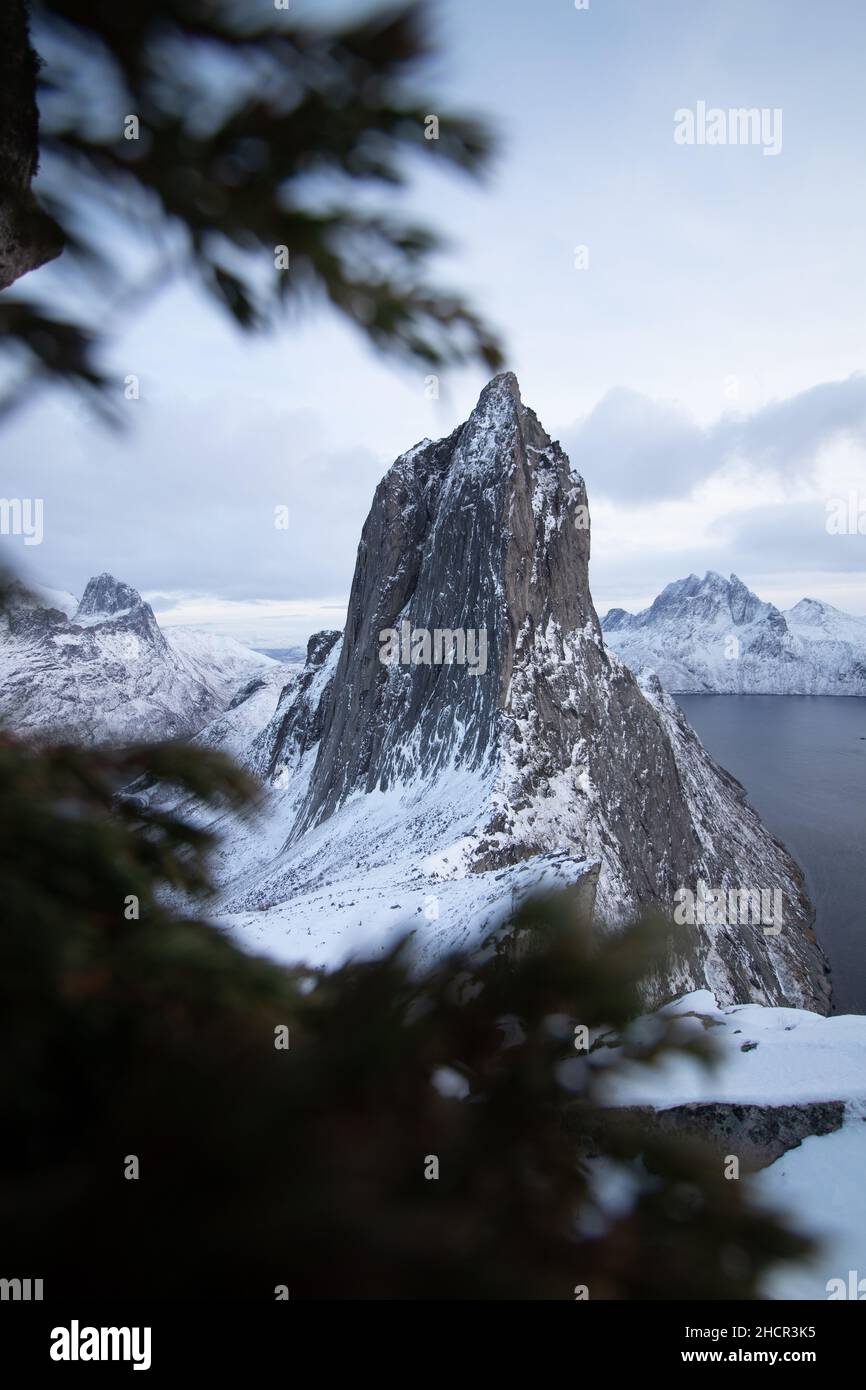 Mountain resembling a frosty rocky tooth on the Senja peninsula called ...