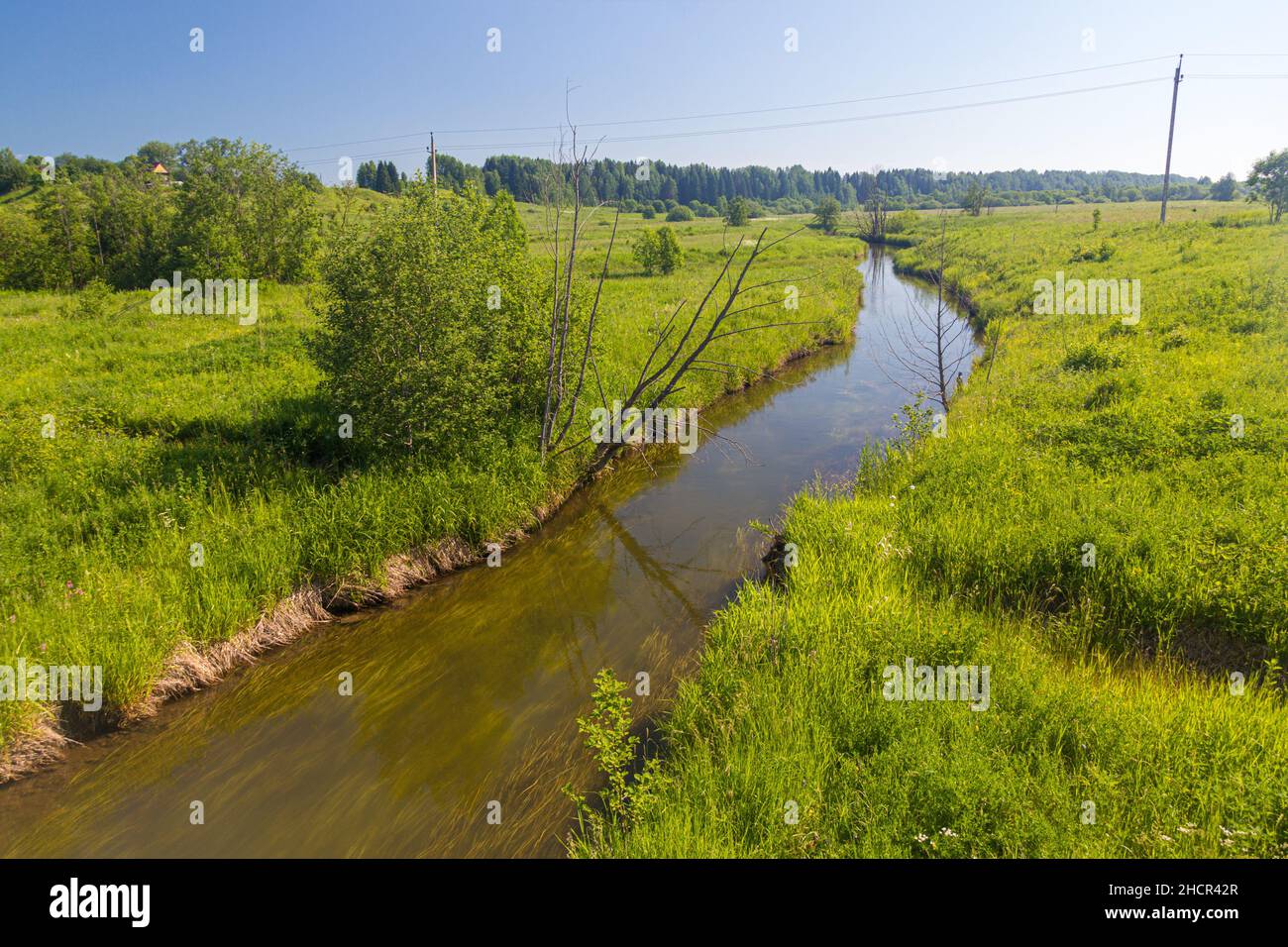 Perm forest hi-res stock photography and images - Alamy