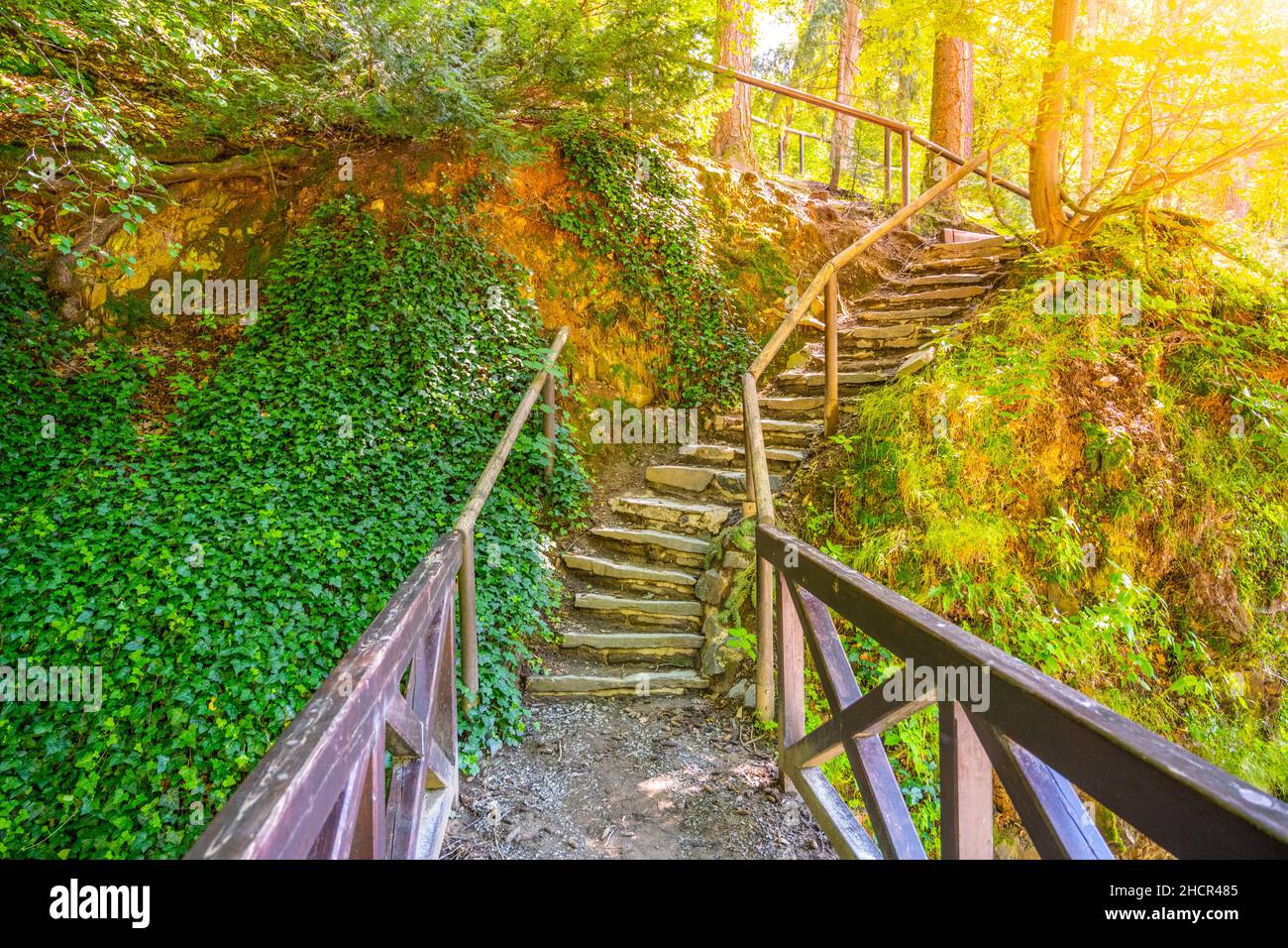 Narrow path and staircase in the forest Stock Photo - Alamy