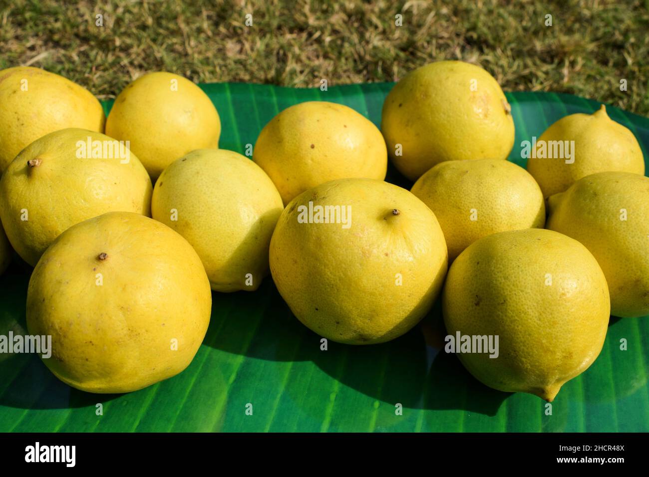 Indian lemons hi-res stock photography and images - Alamy