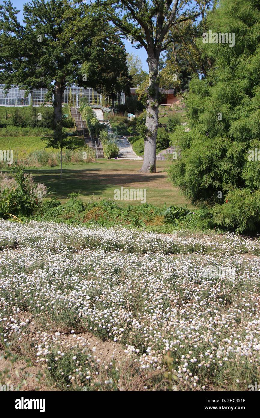 park in chemillé (france Stock Photo - Alamy