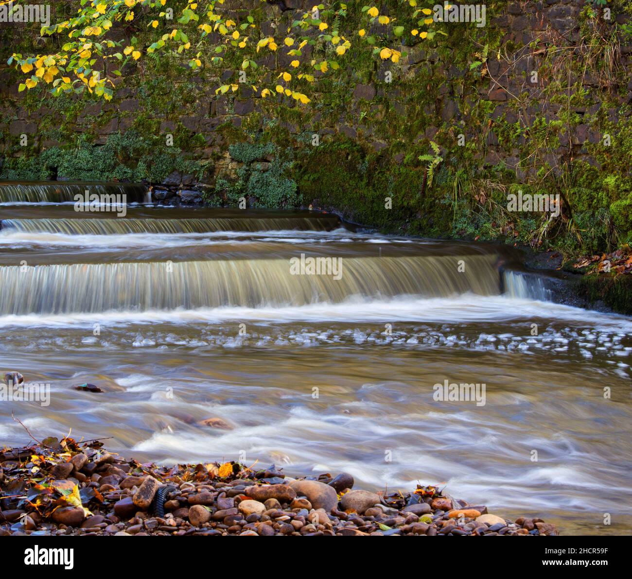 A stepped section of the River Brun, with water gently cascading over ...