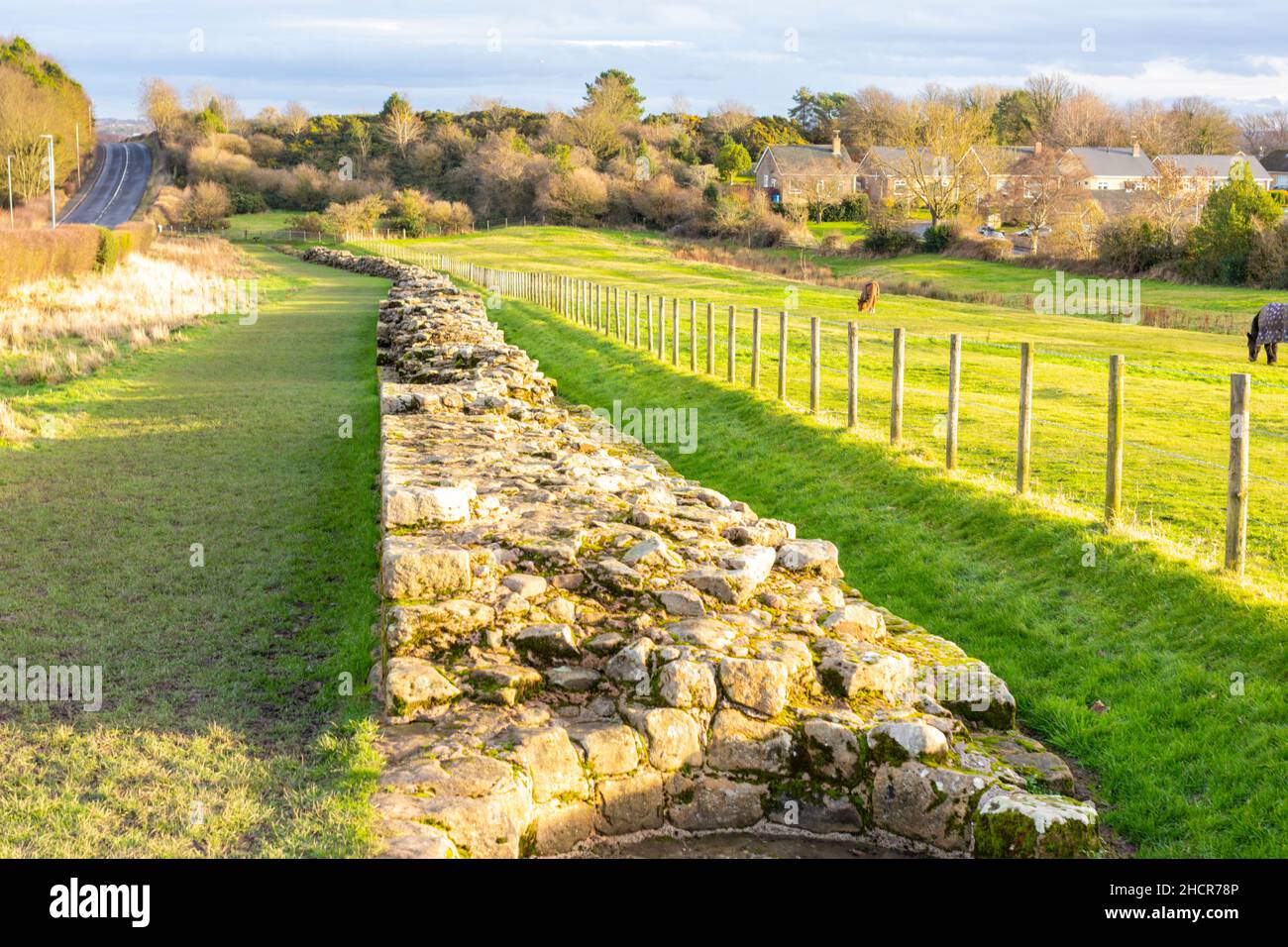 A remaining section of Hadrians wall at Heddon on the wall in ...