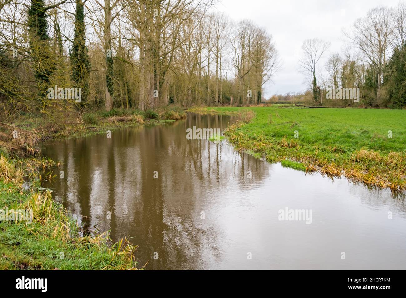 The River Bure in full flood flowing through meadows in the Norfolk ...