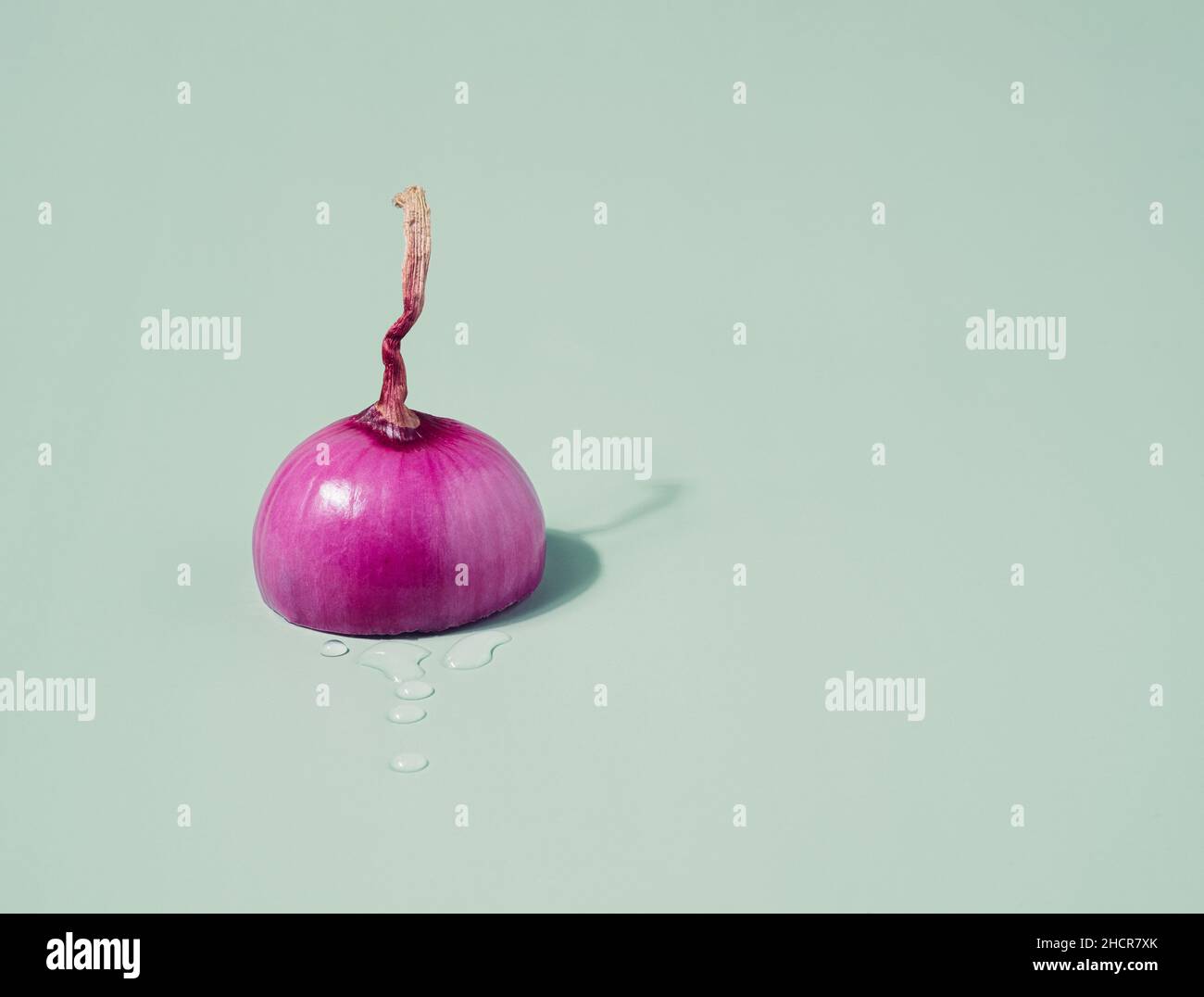 Onion layout hi-res stock photography and images - Alamy