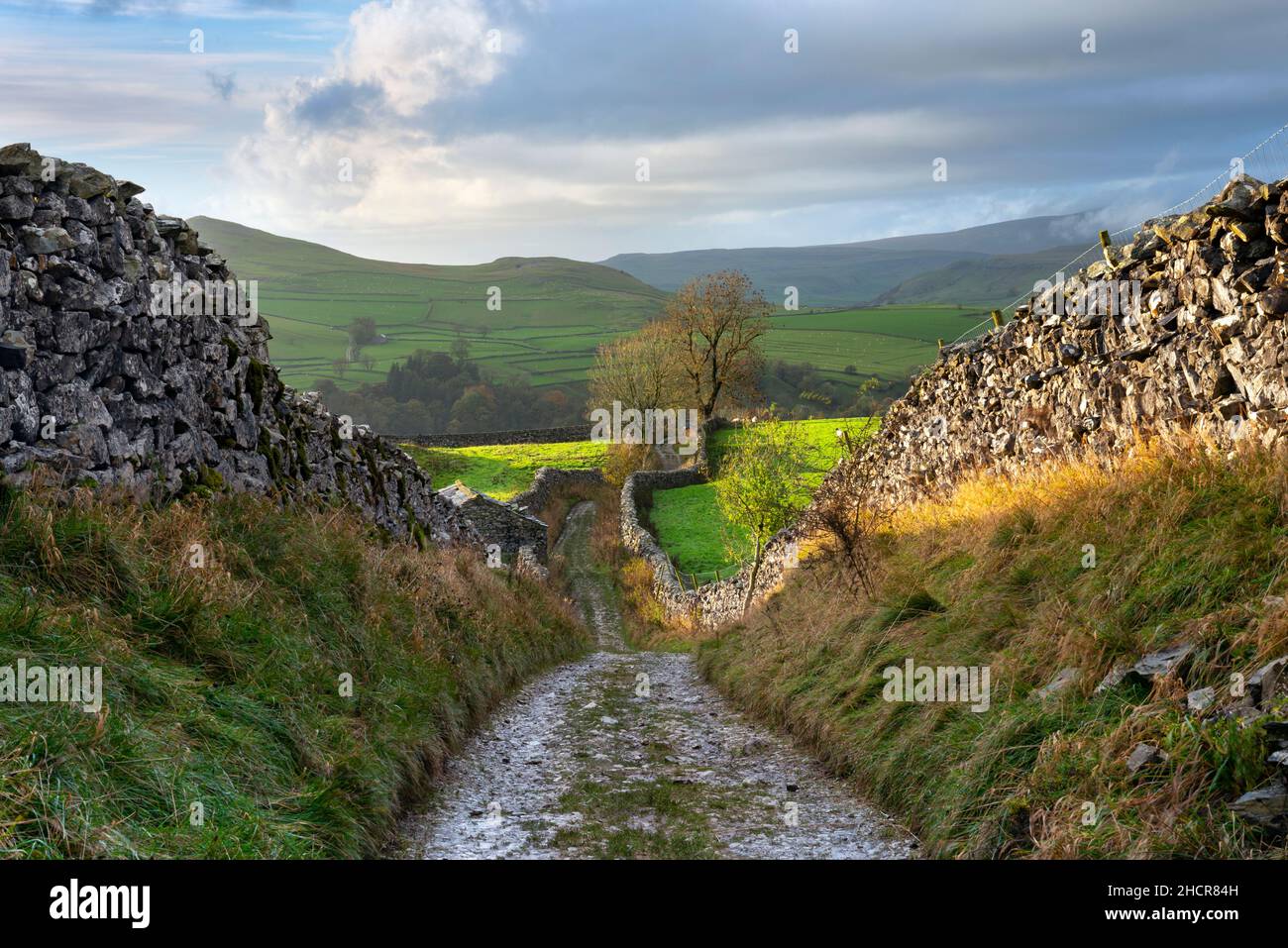 Goat scar hi-res stock photography and images - Alamy