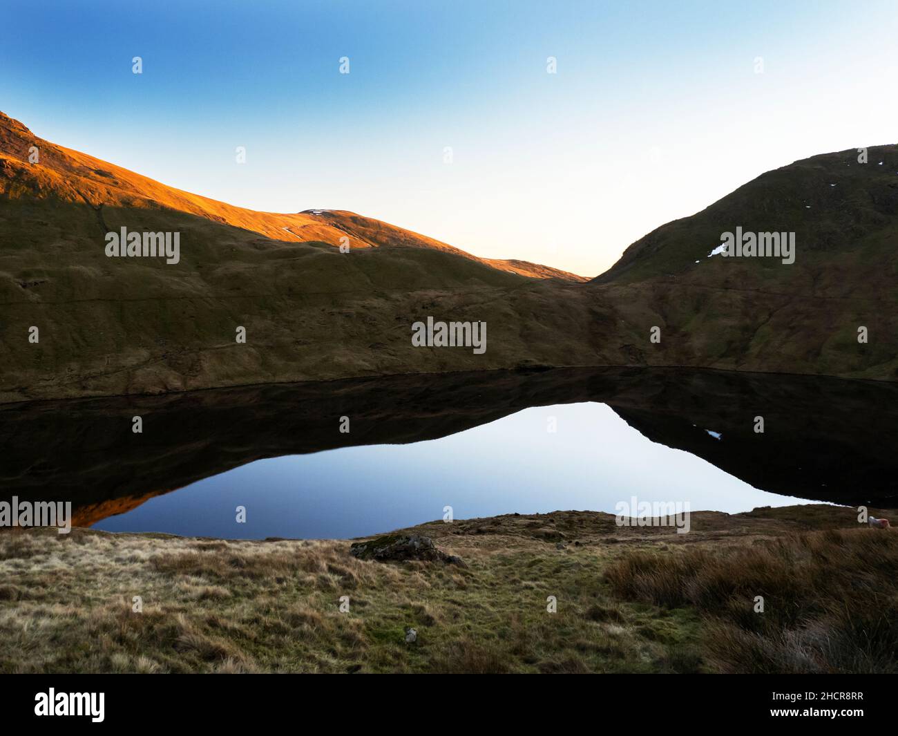 Reflections on Grizedale Tarn below Dollywagon Pike in the Lake ...