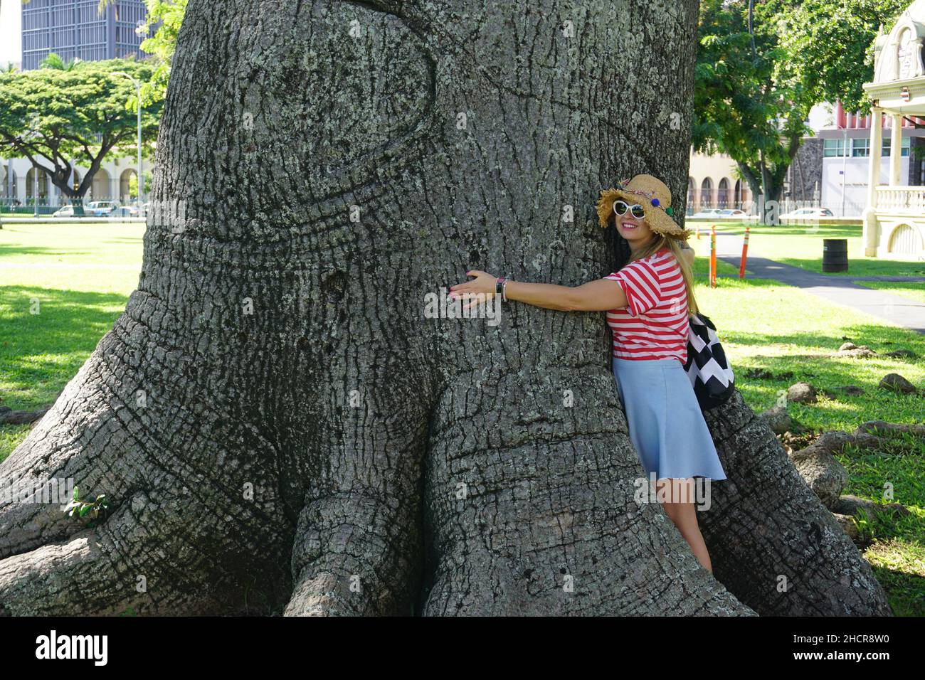 Monkey pod tree hi-res stock photography and images - Alamy