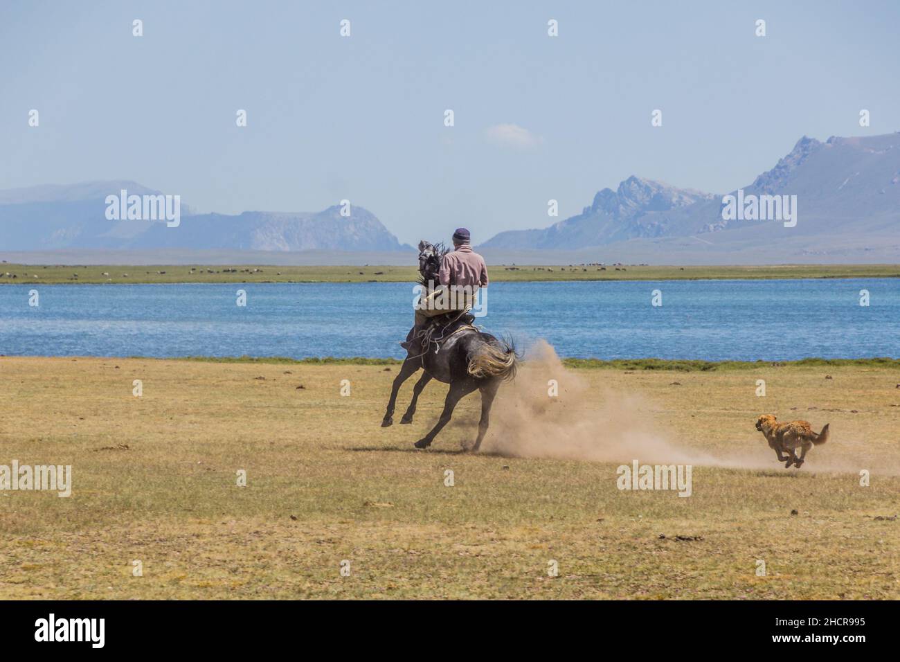 SONG KOL, KYRGYZSTAN - JULY 25, 2018: Horse riding man at the National ...