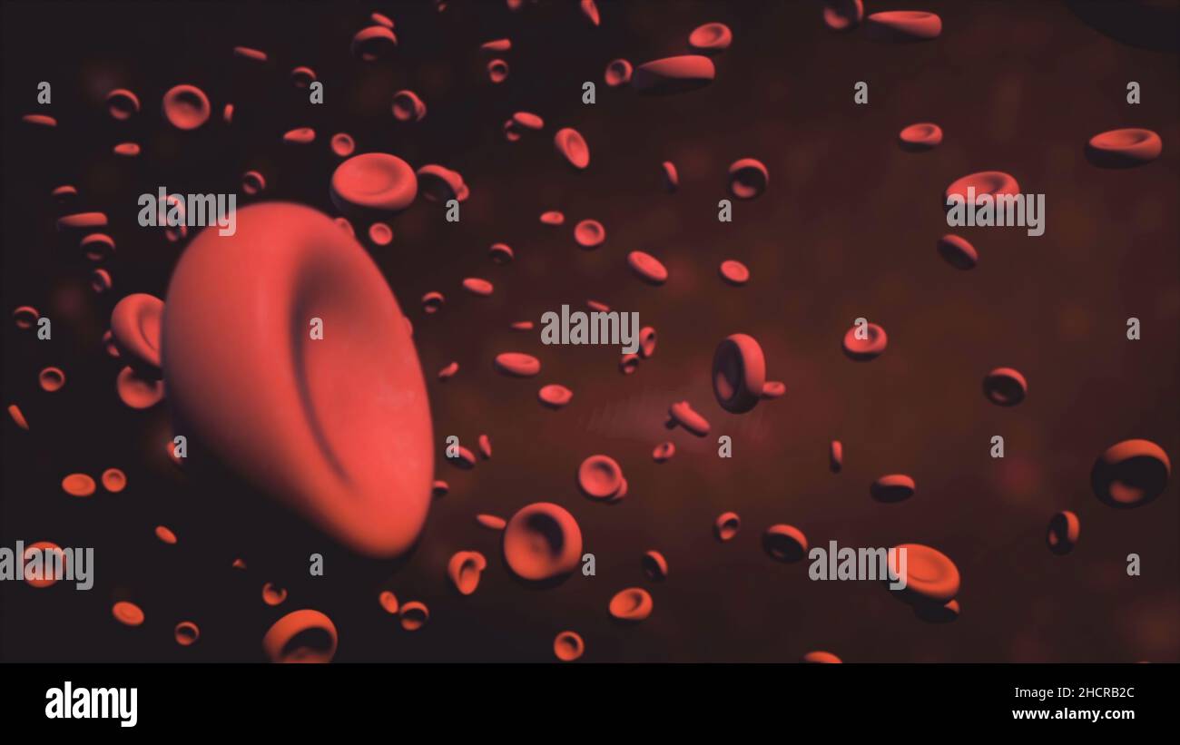 3d animation of red blood cells flowing through artery. Animation of ...