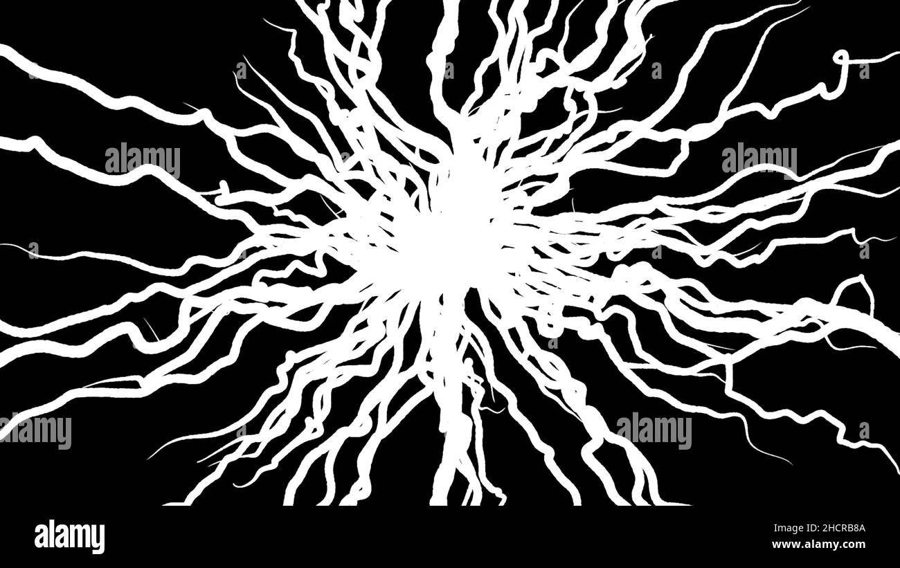 Abstract white roots growing and spreading into all the sides on black ...