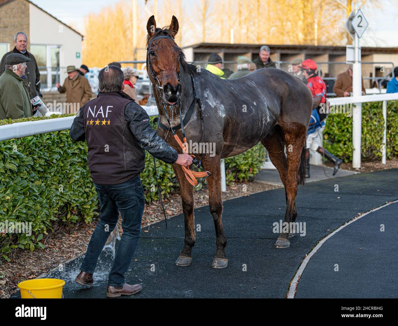 Race 6 at Wincanton December 2nd 2021 Stock Photo - Alamy