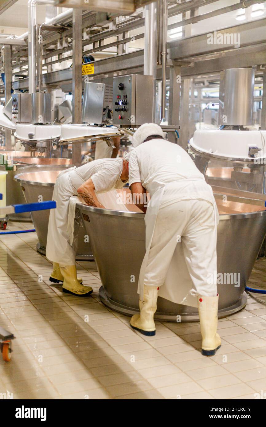 Cheese making dairy farm, Parma 2064 manufacturing wheels, and workers ...