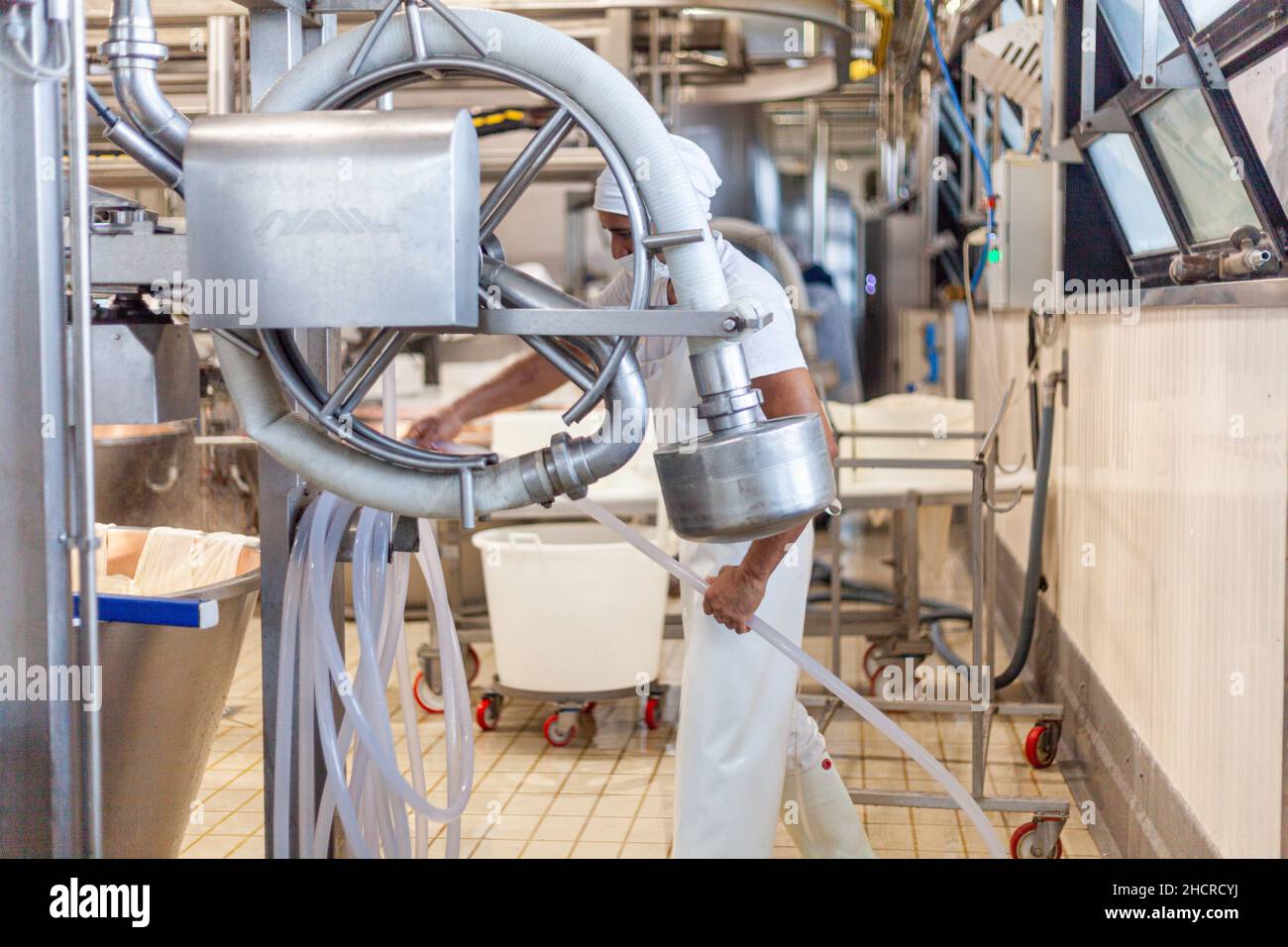 Cheese making dairy farm, Parma 2064 manufacturing wheels, and workers ...