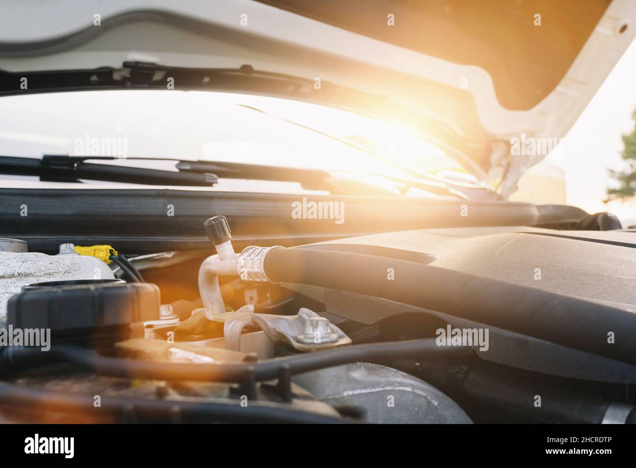 Pouring oil to car engine, Fresh oil poured during an oil change to a ...
