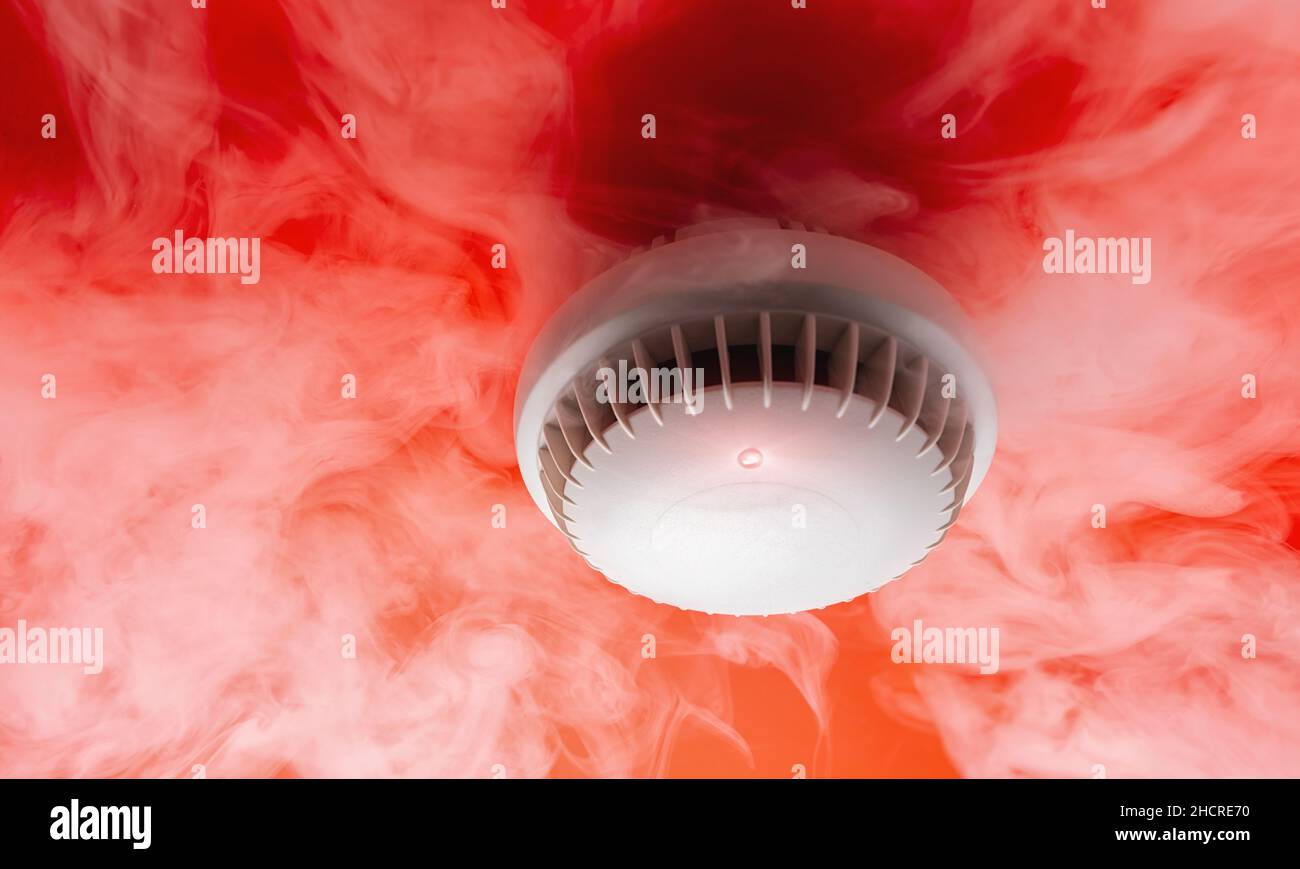 Smoke detector mounted on roof in apartment Stock Photo - Alamy