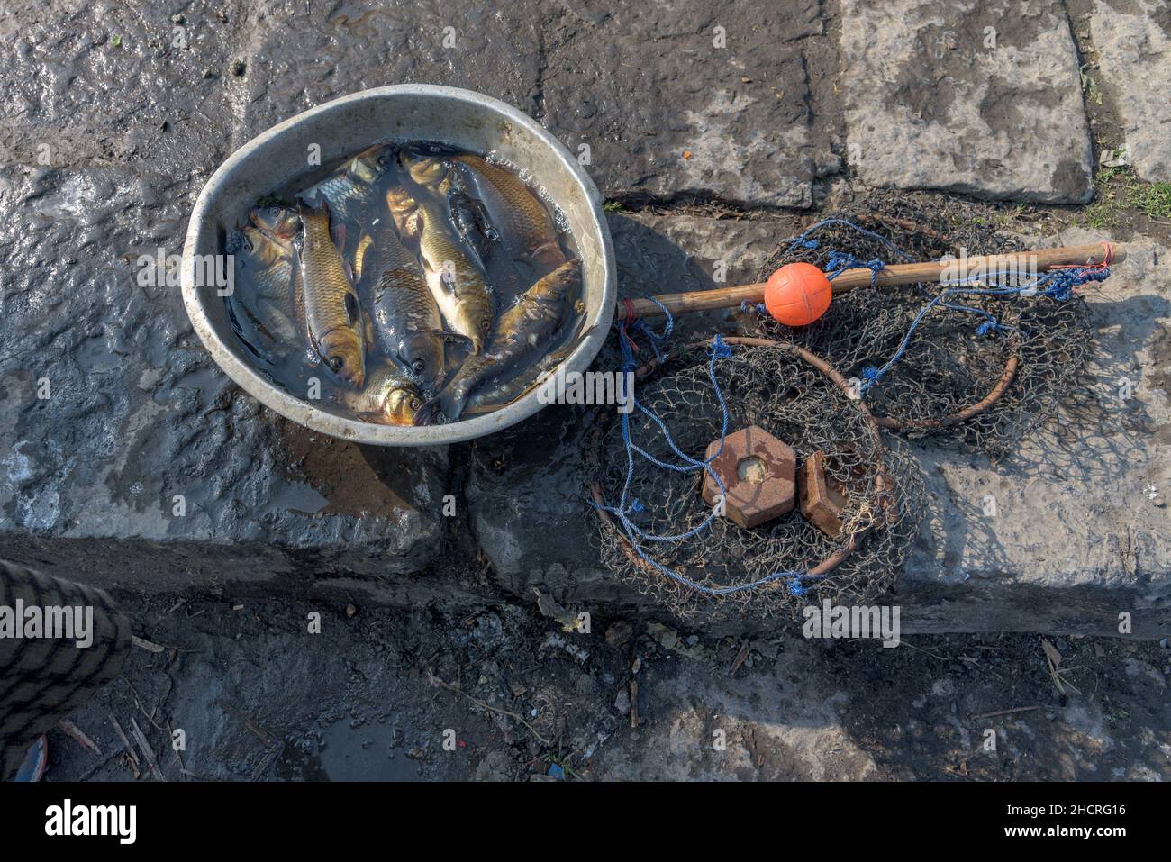 Fish on sale at a market in Srinagar. (Photo by Idrees Abbas / SOPA ...