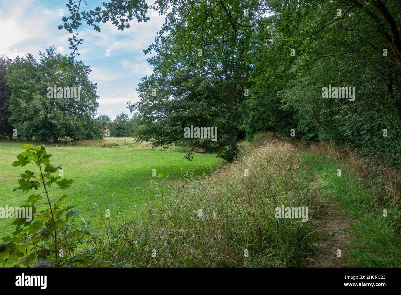 the earthwork remains of Deddington Castle, an 11th-century motte-and ...