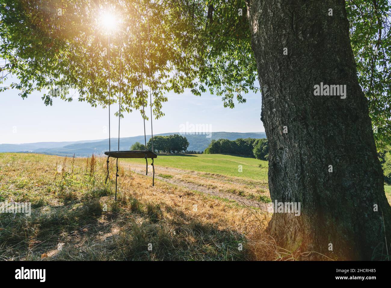 Swing seat oak tree hi-res stock photography and images - Alamy