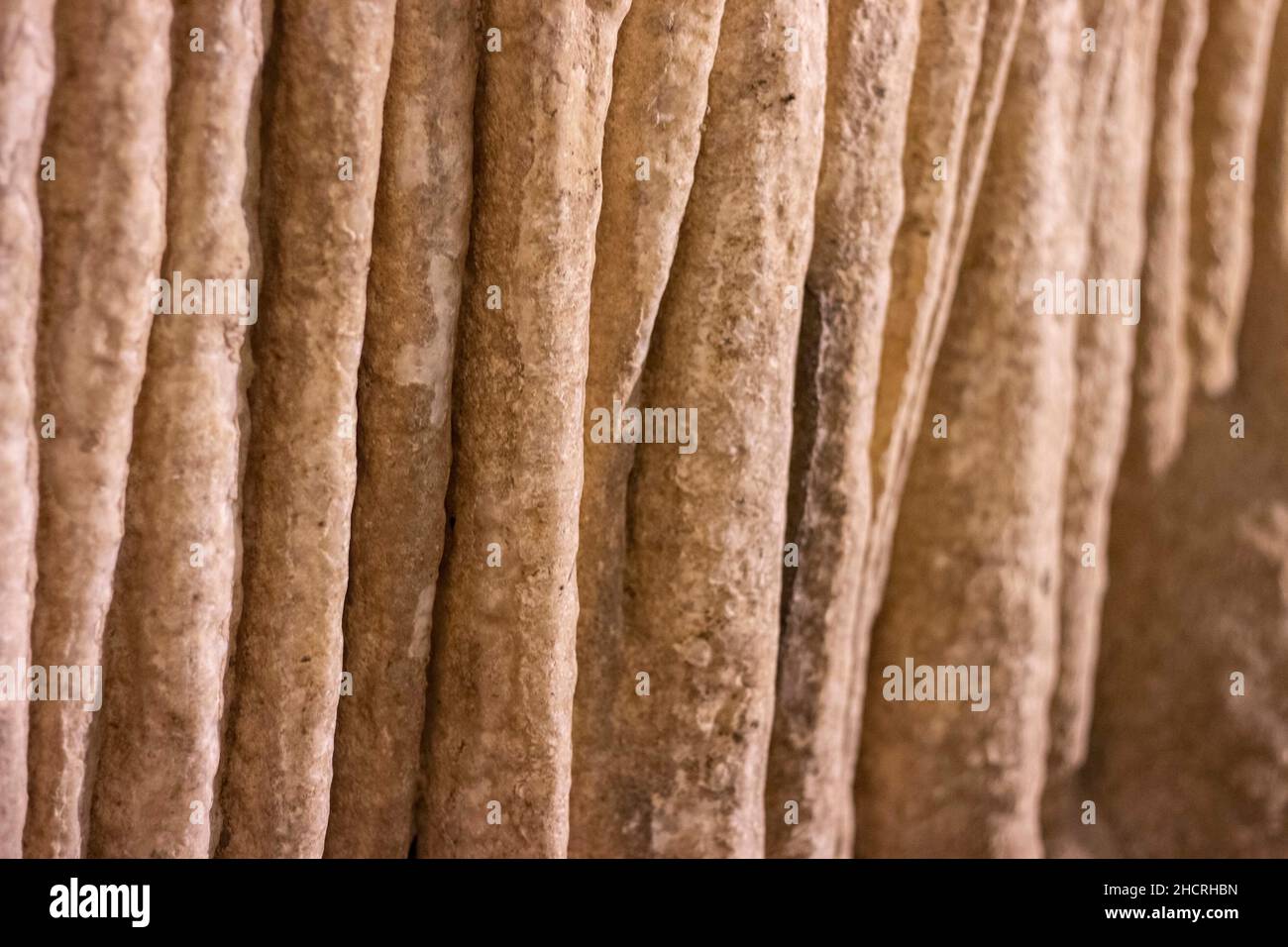 Sim trunks hi-res stock photography and images - Alamy